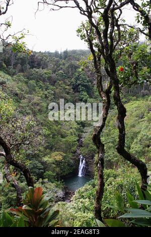 Peering through trees looking down to a waterfall and small lake in the ...