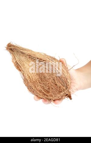 Coconut in hand isolated on white background Stock Photo - Alamy