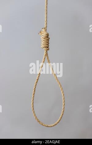 knotted gallows rope on grey background Stock Photo - Alamy