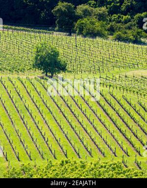 A beautiful view of sunset in Styria in Austria Stock Photo - Alamy