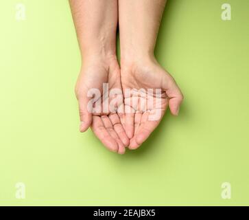 two female hands folded palm to palm on an orange background, top view ...