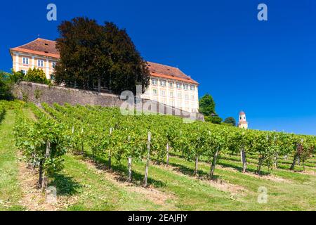 Castle Stainz and vineyard, Styria, Austria Stock Photo - Alamy