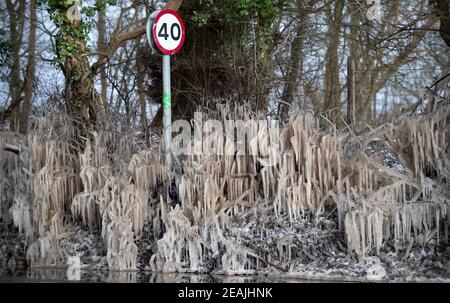 Icicles form at the side of a road near to Penshurst in Kent, as the ...