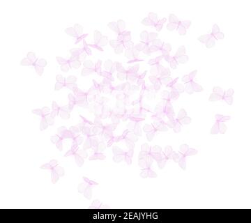 Abstract geometric mesh butterfly. Wireframe technology structure. 3d ...