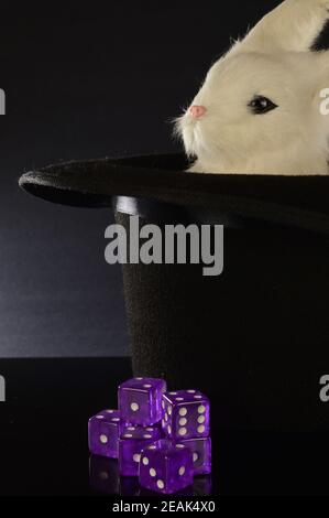 rabbit hare enchantment show magician magus sorcerer magic trick ...