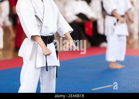 Karate practitioner body position during competition. Martial arts ...