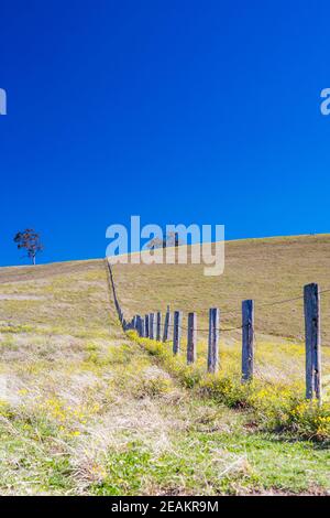 Hunter Valley Landscape in Australia Stock Photo - Alamy