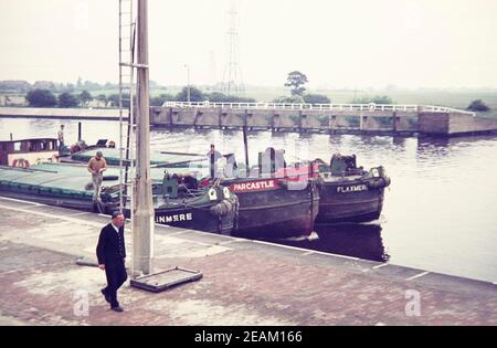 barges and dumb barge Stock Photo - Alamy