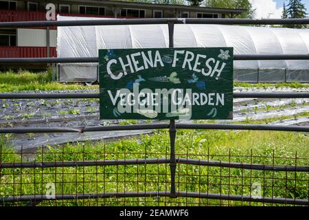 Chena Fresh Veggie Garden at Chena Hot Springs Resort in Fairbanks ...