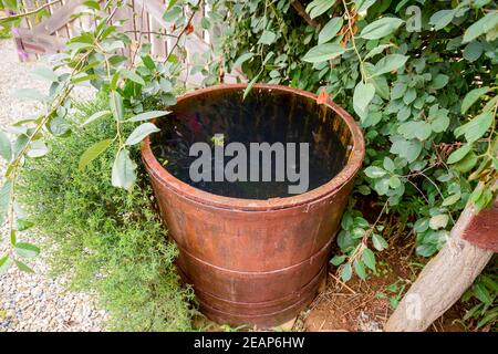 Wooden barrel filled with water Stock Photo - Alamy