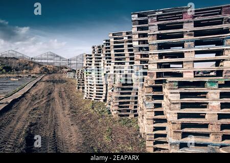 Stack of euro pallets Stock Photo - Alamy