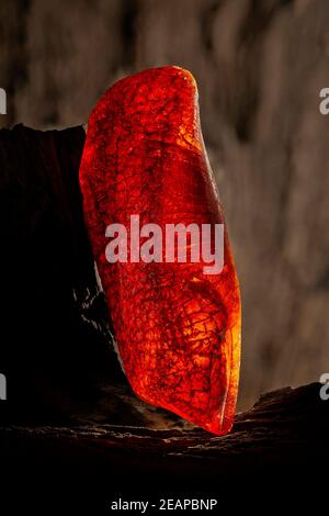 A piece of yellow semi opaque natural amber, classification color ...