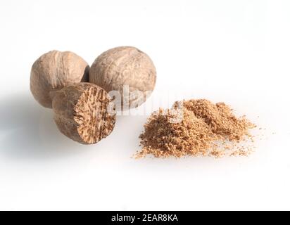 Muskat, Muskatnuesse, Myristica, fragrans Stock Photo - Alamy
