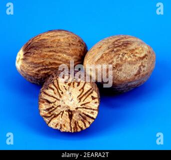 Muskat, Muskatnuesse, Myristica, fragrans Stock Photo - Alamy