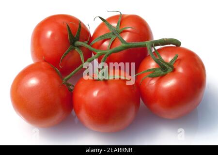 Rispen-Tomaten, Lycopersicon esculentum Stock Photo - Alamy