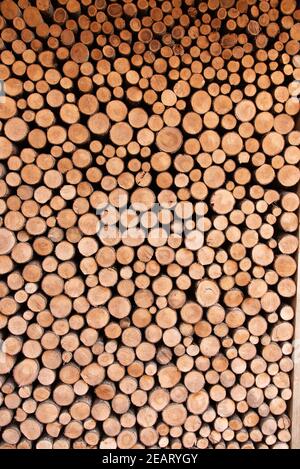 A vertical shot of logs stacked in a pile Stock Photo - Alamy
