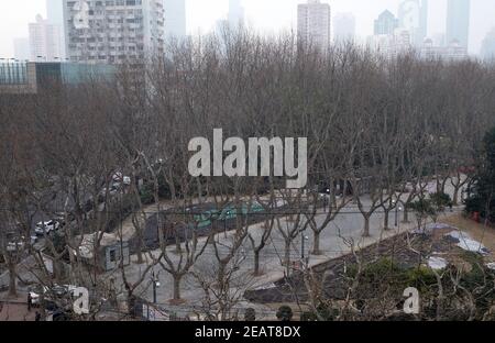 Ruijin Road has a mixture of colonial and modern elements of Shanghai's ...
