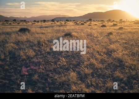 Sunset landscape on grassy plain with mountains in background Stock ...