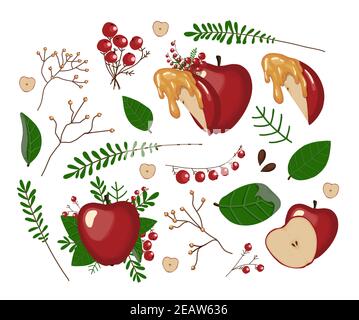 Red apple whole and cut slice with leaves watercolor hand drawn ...