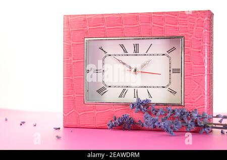 Pink Alligator Clock Stock Photo - Alamy