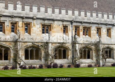 Magdalen College stone crenellated building. Famous for ornate animal ...
