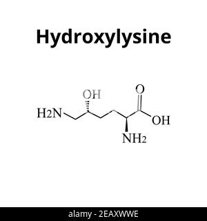 Hydroxylysine chemical structure. Vector illustration Hand drawn Stock ...