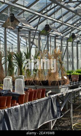Botanical greenhouses with bilingual signs warning of Covid-19 pandemic ...