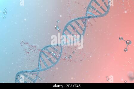 DNA genomes structure with division molecule, 3d rendering. Computer ...