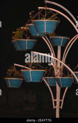 decorative garden plants with colorful hanging baskets in outdoor ...