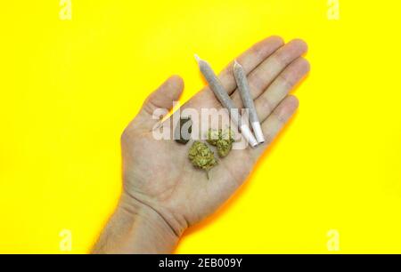 Human hand hold a cannabis cigarette over on blue sky background ...