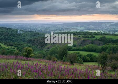 View over Burrington Combe from Black Down in the Mendip Hills ...