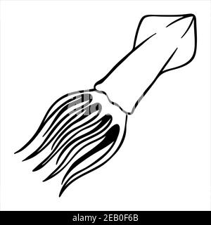 Squid hand drawn aquatic animal isolated sketch, profile view. Vector ...