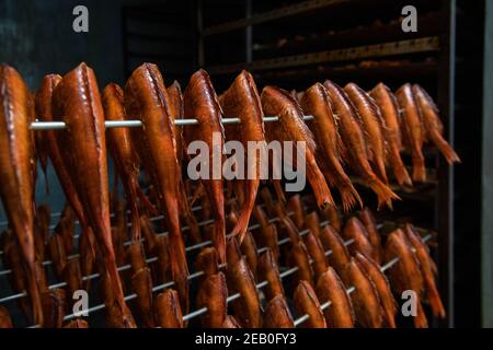 Smoked fish production concept: smoking sea bass fish in smokehouse box ...