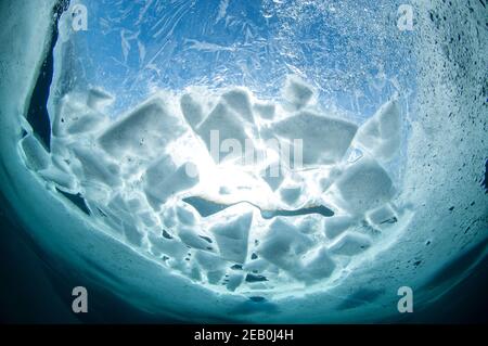 Winter ice diving underwater in a quarry in Canada Stock Photo - Alamy