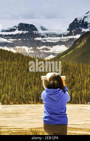 Woman looking at scenery through telescope from viewing platform Bird ...