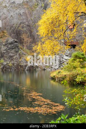 flooded quarry in autumn Stock Photo - Alamy