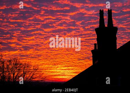 WIMBLEDON LONDON, UK. 6 February 2021. A cockapoo dog runs through the ...