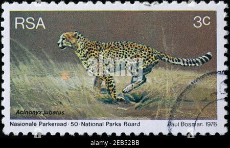 Cheetah on south african postage stamp Stock Photo - Alamy