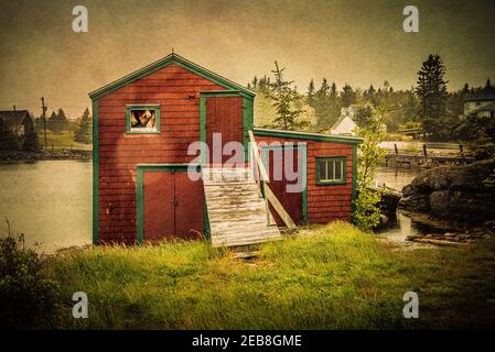 Storage Shed - textures Stock Photo - Alamy