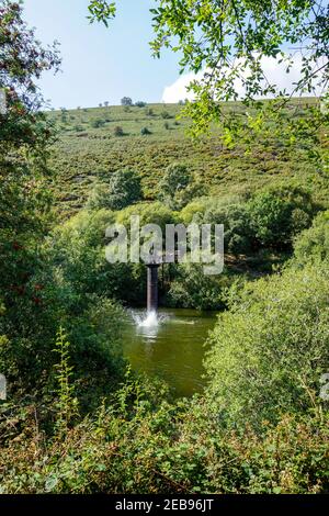 Jumping into Carding Mill Valley Reservoir and the Long Mynd ...