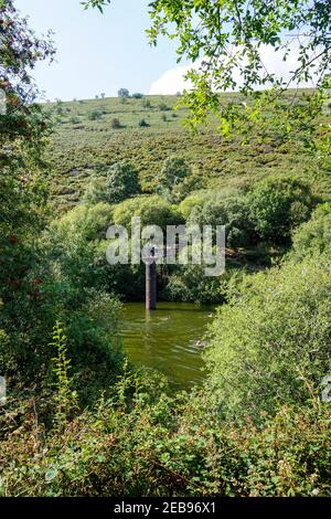 Swimming at Carding Mill Valley Reservoir and the Long Mynd, Shropshire ...