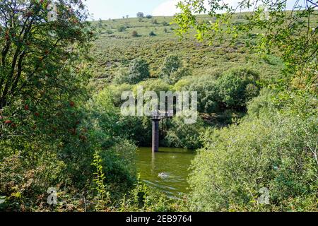 Jumping into Carding Mill Valley Reservoir and the Long Mynd ...