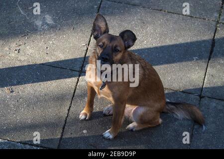 A nice picture from my companion Dschini & Emmi , an intresting photo ...