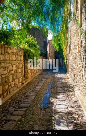 Back Lane, a pretty, narrow, cobbled street of houses in Hampstead ...