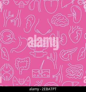 Human organs outline pattern. Internal organs anatomy. Vector ...