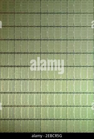 A wafer of silicon chips. Manufactured in the UK in the late 1980s by ...