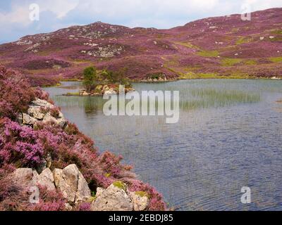 Dock Tarn and Watendlath Fell, Lake District, Cumbria Stock Photo - Alamy