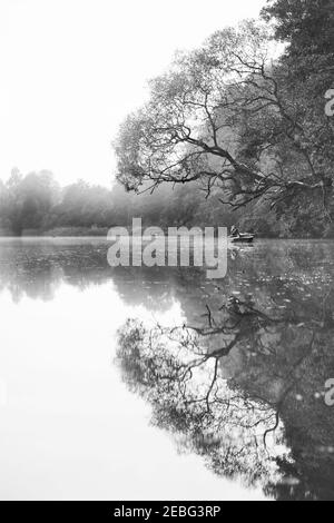 Grayscale shot of a coast on a foggy day Stock Photo - Alamy