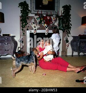 John F. Kennedy, Jr., plays with his dog, Shannon, at Brambletyde house ...