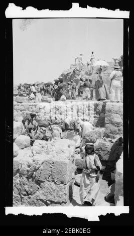 Northern views. The excavations at Samaria. Excavating the Ostraca ...